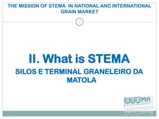 STEMA in the National and International Grain Market | PDF
