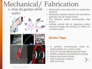 A Seminar on Biomimicry | PPT