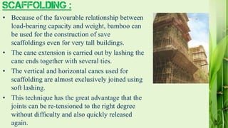 Bamboo as construction material | PPTX