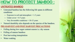 Bamboo as construction material | PPTX