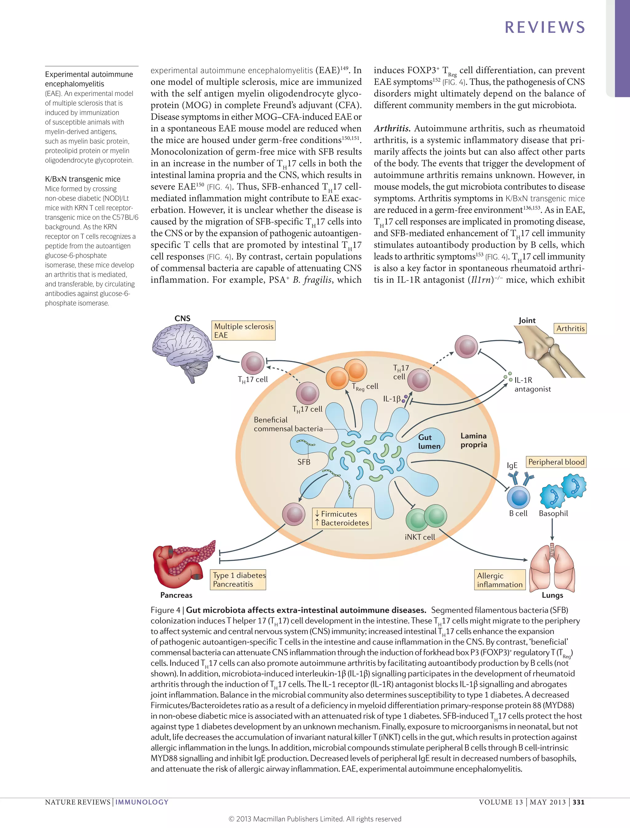 1 (2013) role of the gut microbiota in immunity and inflammatory disease | PDF