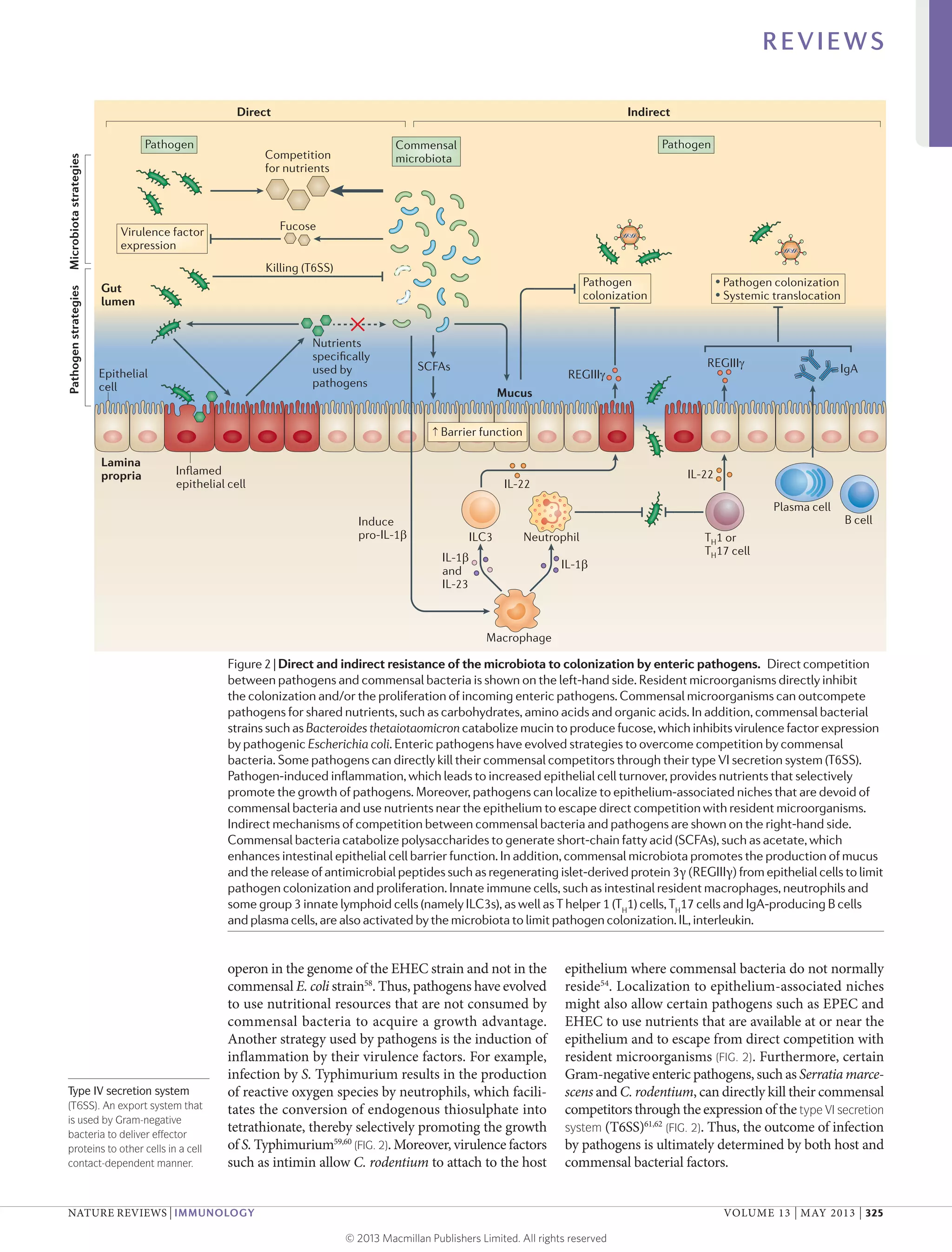 1 (2013) role of the gut microbiota in immunity and inflammatory ...