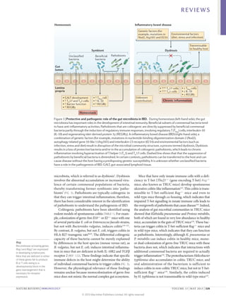 1 (2013) role of the gut microbiota in immunity and inflammatory disease | PDF | Digestive ...