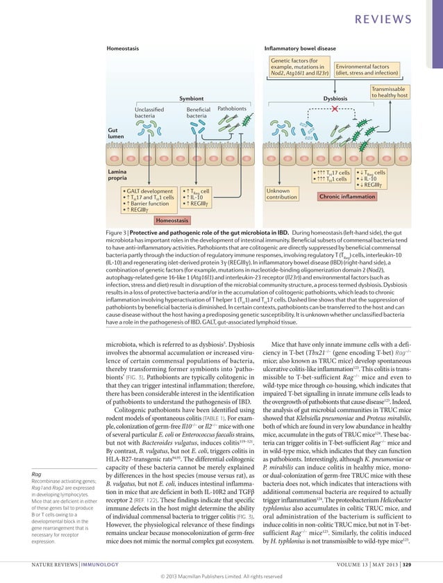 1 (2013) role of the gut microbiota in immunity and inflammatory ...