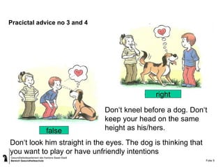 ‘Prevent a Bite’: A course on child safety around dogs | PPT