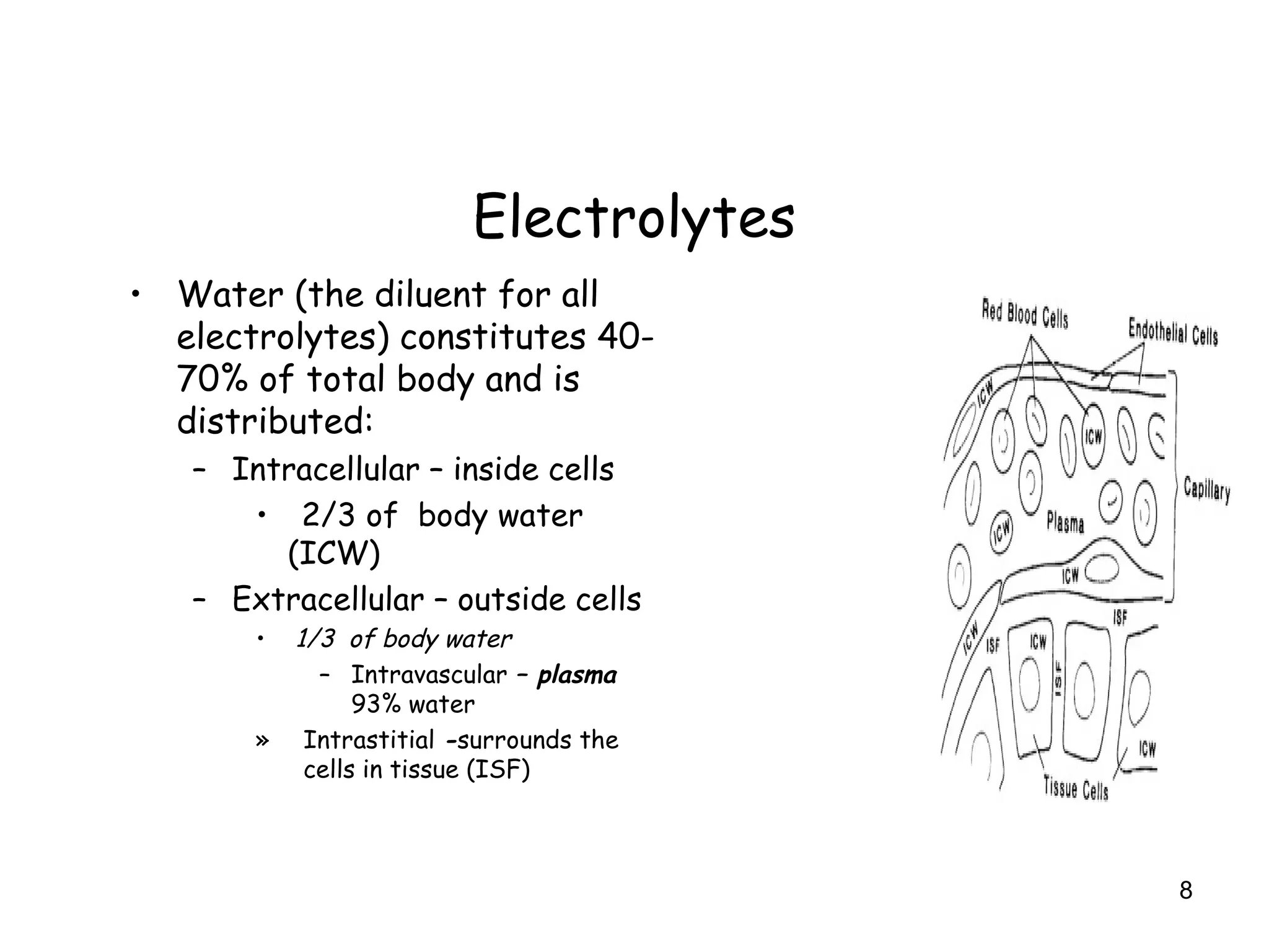 CLINICAL CHEMISTRY ELECTROLYTES | PPT