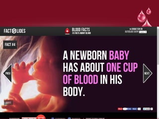 BLOOD:facts and fun | PPT