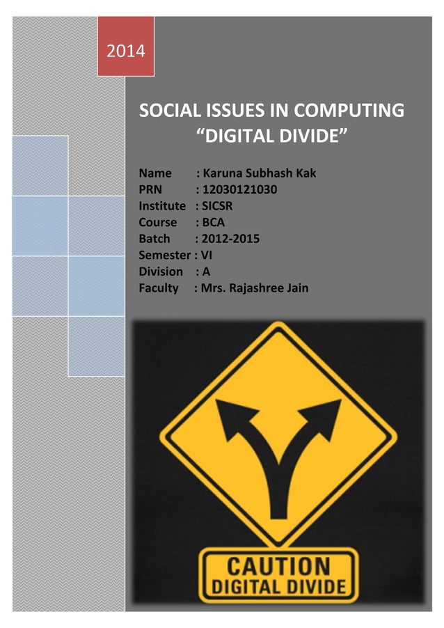Digital Divide | PDF