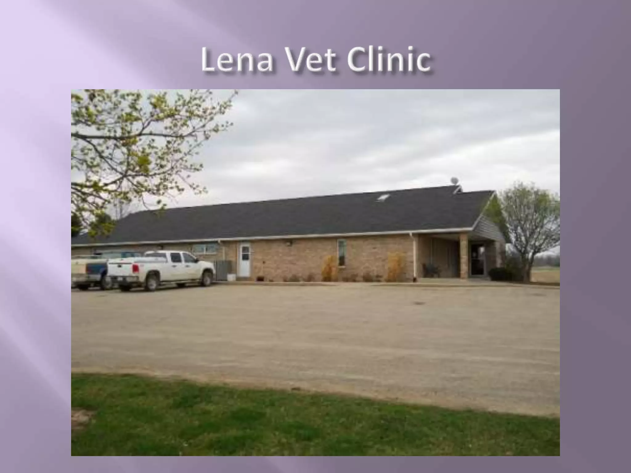 Dr. James Moest - Electronic Interstate Certificate of Veterinary ...