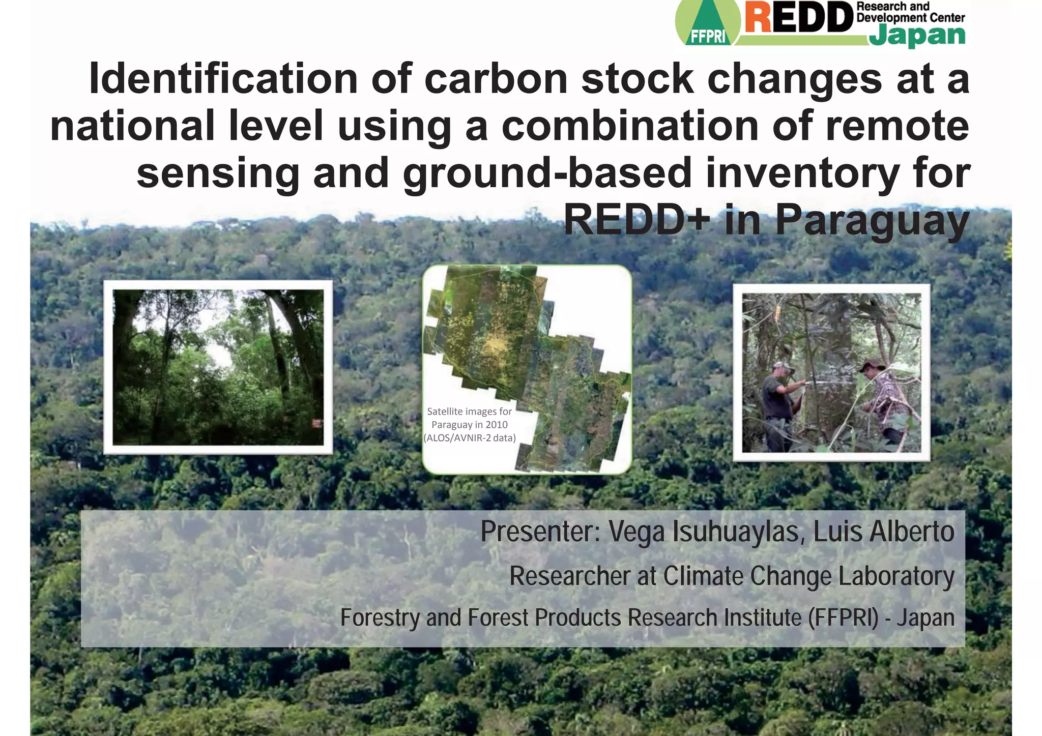 Identification of carbon stock changes at a national level using a ...