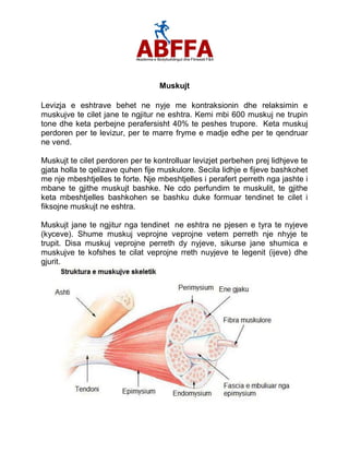 120438463 anatomi-dhe-fiziologji-per-sport-dhe-ushtrime 1 | PDF