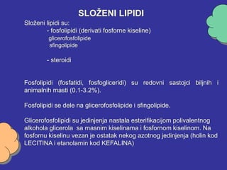 120457870 lipidi | PPT