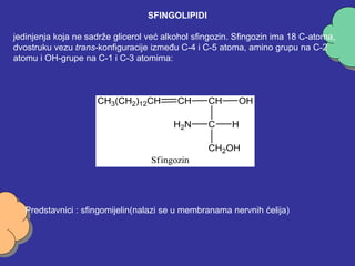120457870 lipidi | PPT