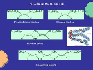 120457870 lipidi | PDF