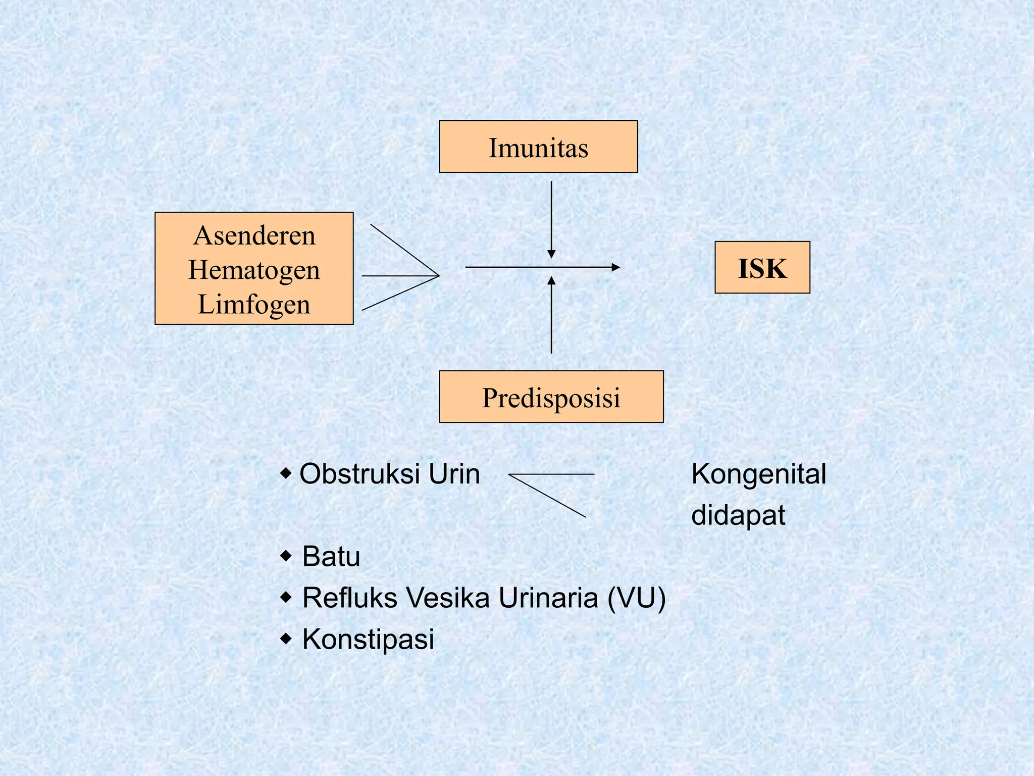 12047606asdasd5-Infeksi-Saluran-Kemih.ppt