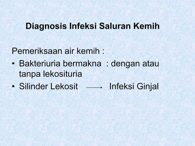 12047606asdasd5-Infeksi-Saluran-Kemih.ppt