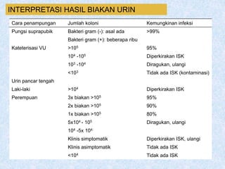 12047606asdasd5-Infeksi-Saluran-Kemih.ppt