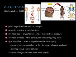 Stress Metabolism Adaptation & Critical Illness: Mervyn Singer | PPT
