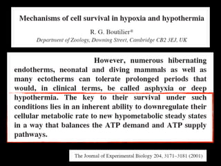 Stress Metabolism Adaptation & Critical Illness: Mervyn Singer | PPT