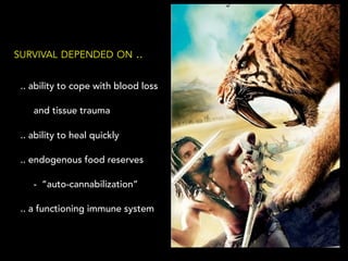 Stress Metabolism Adaptation & Critical Illness: Mervyn Singer | PPT