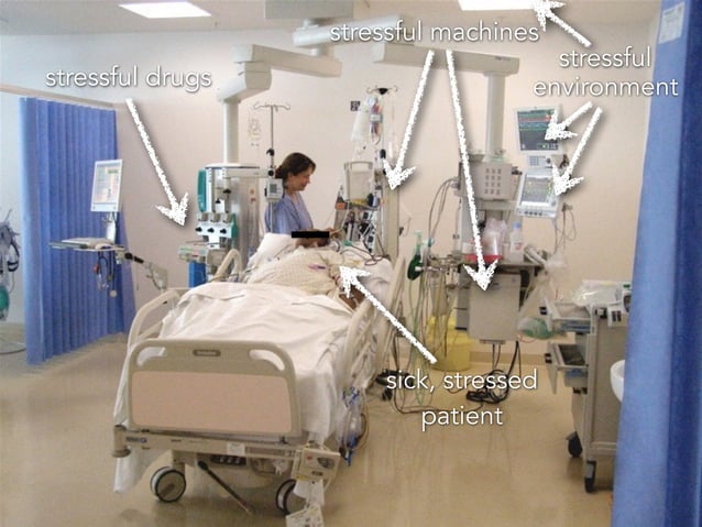 Stress Metabolism Adaptation & Critical Illness: Mervyn Singer | PPT