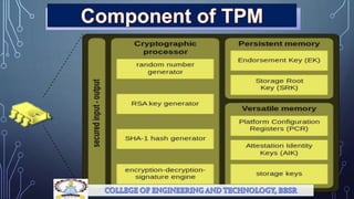 Microsoft Palladium | PPTX