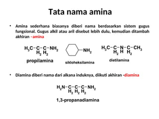 Memhami tata nama amina, sifat-sifatnya, pembuatannya, reaksi-reaksi ...