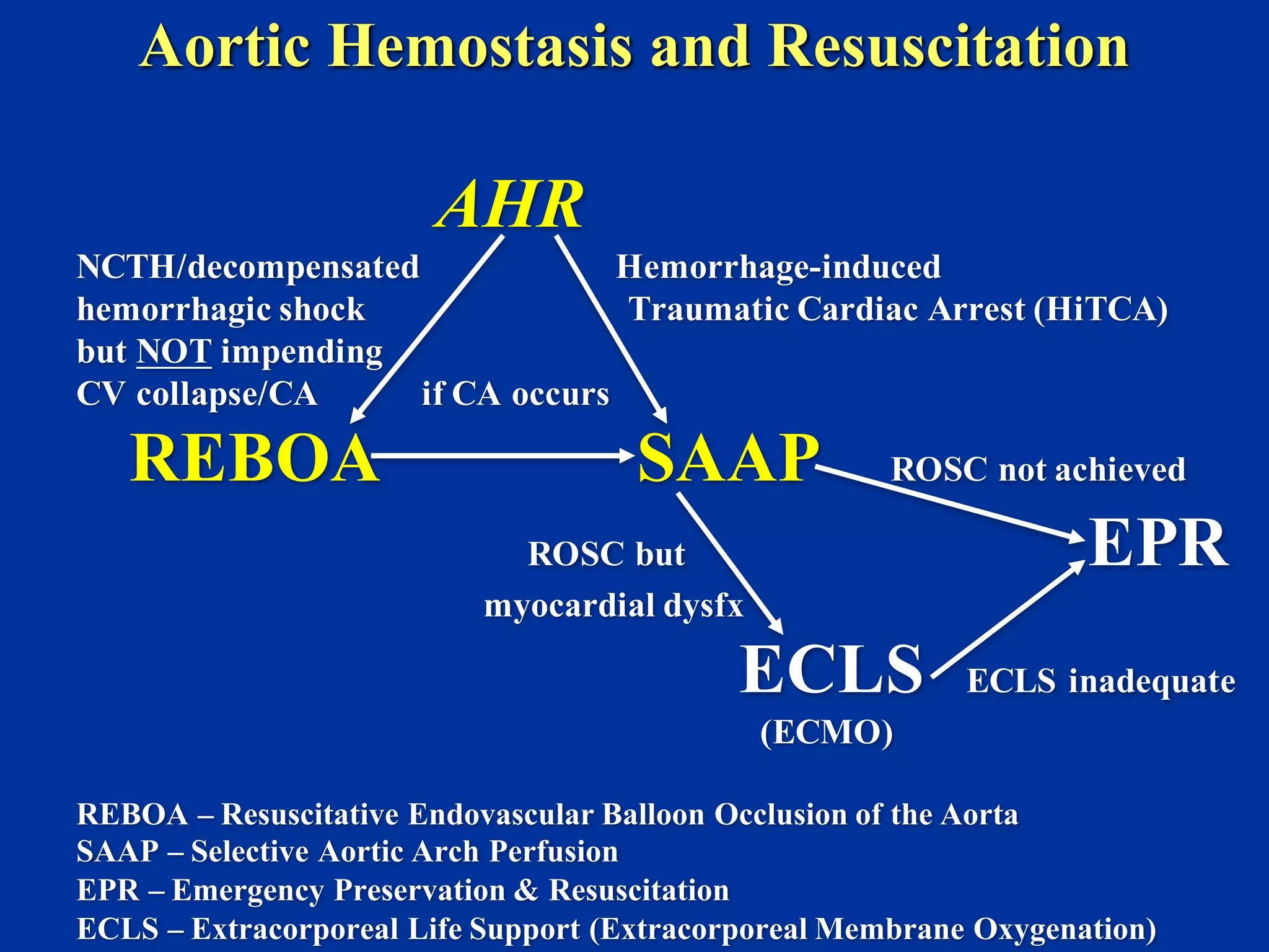 Jim Manning - Selective Aortic Arch Perfusion | PDF