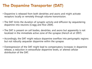 마더리스크라운드 - Dopamine transporter in ADHD & Alcohol intake | PDF