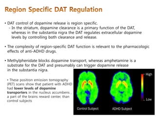 마더리스크라운드 - Dopamine transporter in ADHD & Alcohol intake | PDF