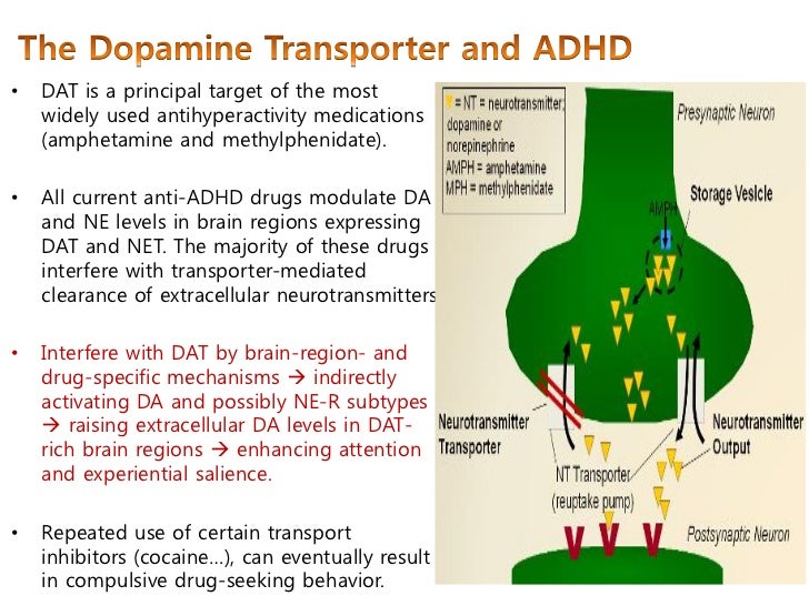 마더리스크라운드 - Dopamine transporter in ADHD & Alcohol intake