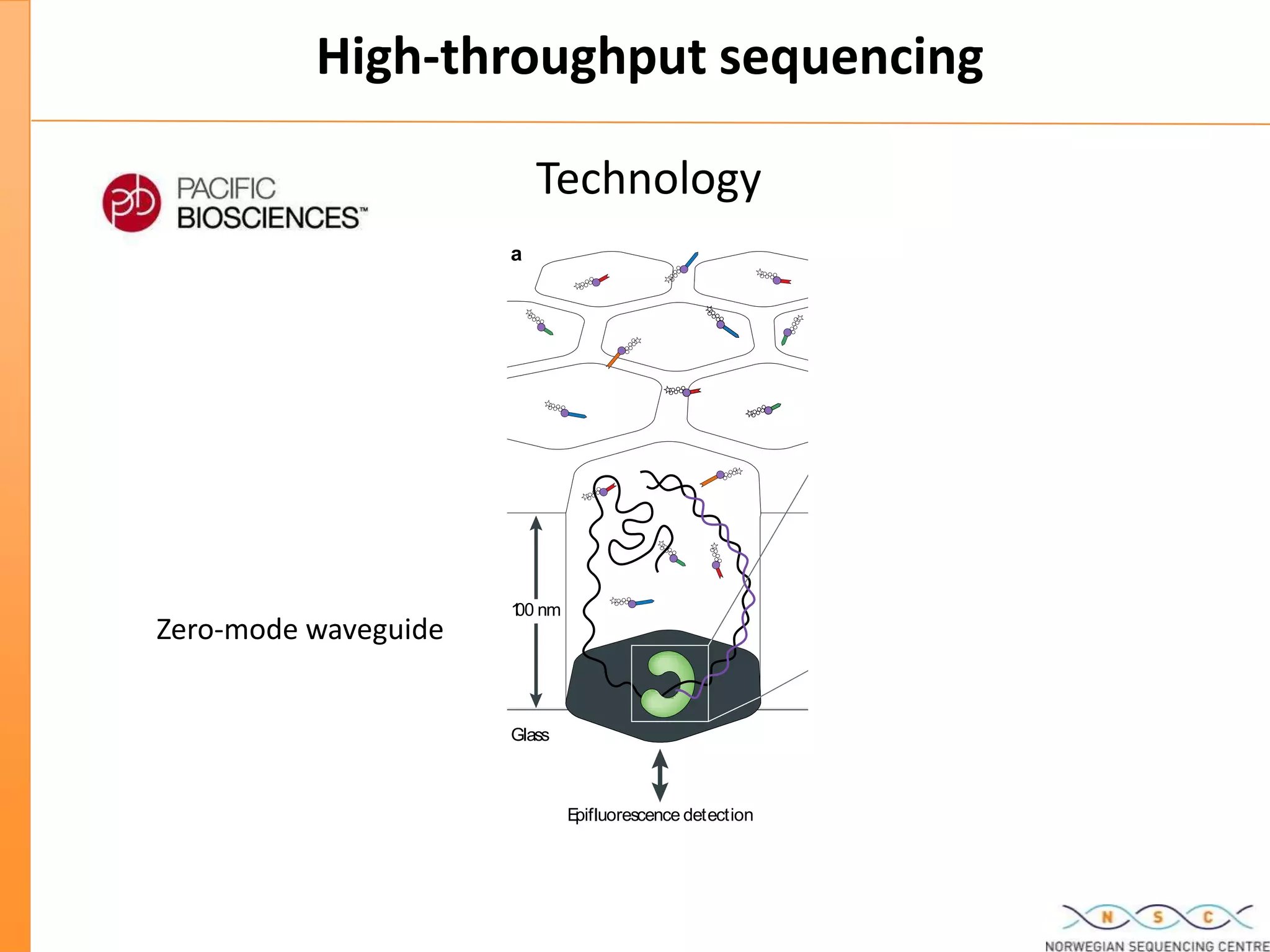 New High Throughput Sequencing Technologies At The Norwegian Sequencing
