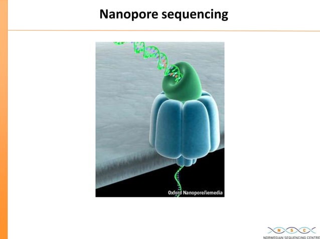 New High Throughput Sequencing Technologies At The Norwegian Sequencing
