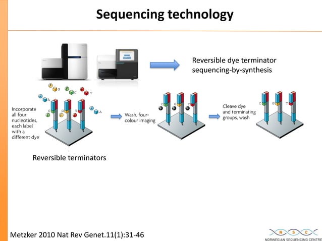 New High Throughput Sequencing Technologies At The Norwegian Sequencing
