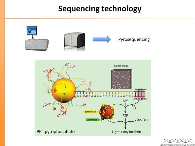 New High Throughput Sequencing technologies at the Norwegian Sequencing ...