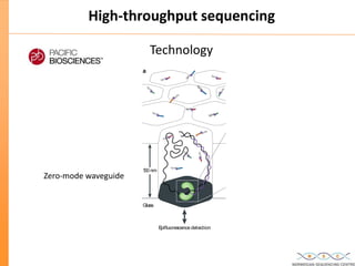 New High Throughput Sequencing technologies at the Norwegian Sequencing ...