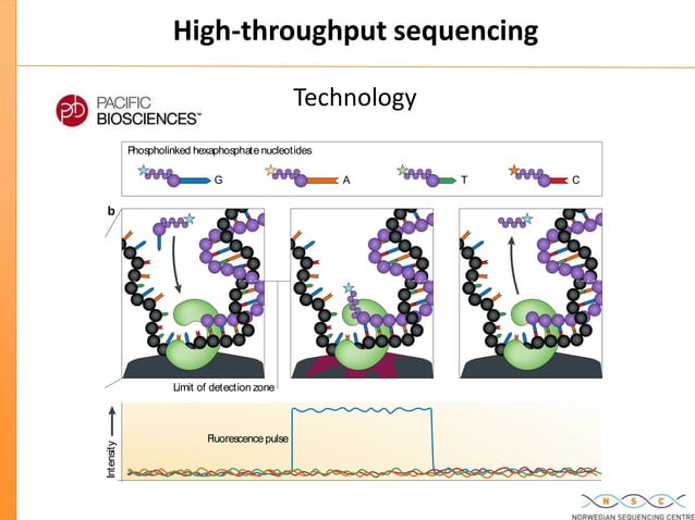 New High Throughput Sequencing technologies at the Norwegian Sequencing ...