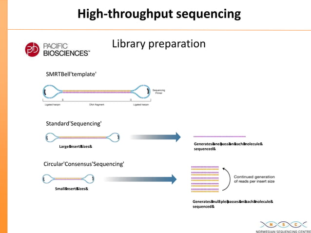 New High Throughput Sequencing technologies at the Norwegian Sequencing ...