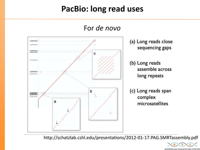 New High Throughput Sequencing technologies at the Norwegian Sequencing ...