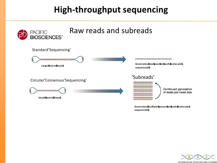 New High Throughput Sequencing technologies at the Norwegian Sequenci…