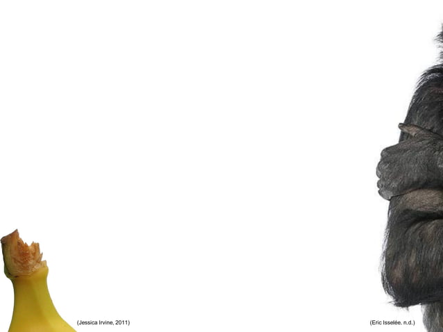 Monkey See Monkey Doo online | PDF