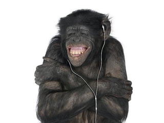 Monkey See Monkey Doo online | PPT