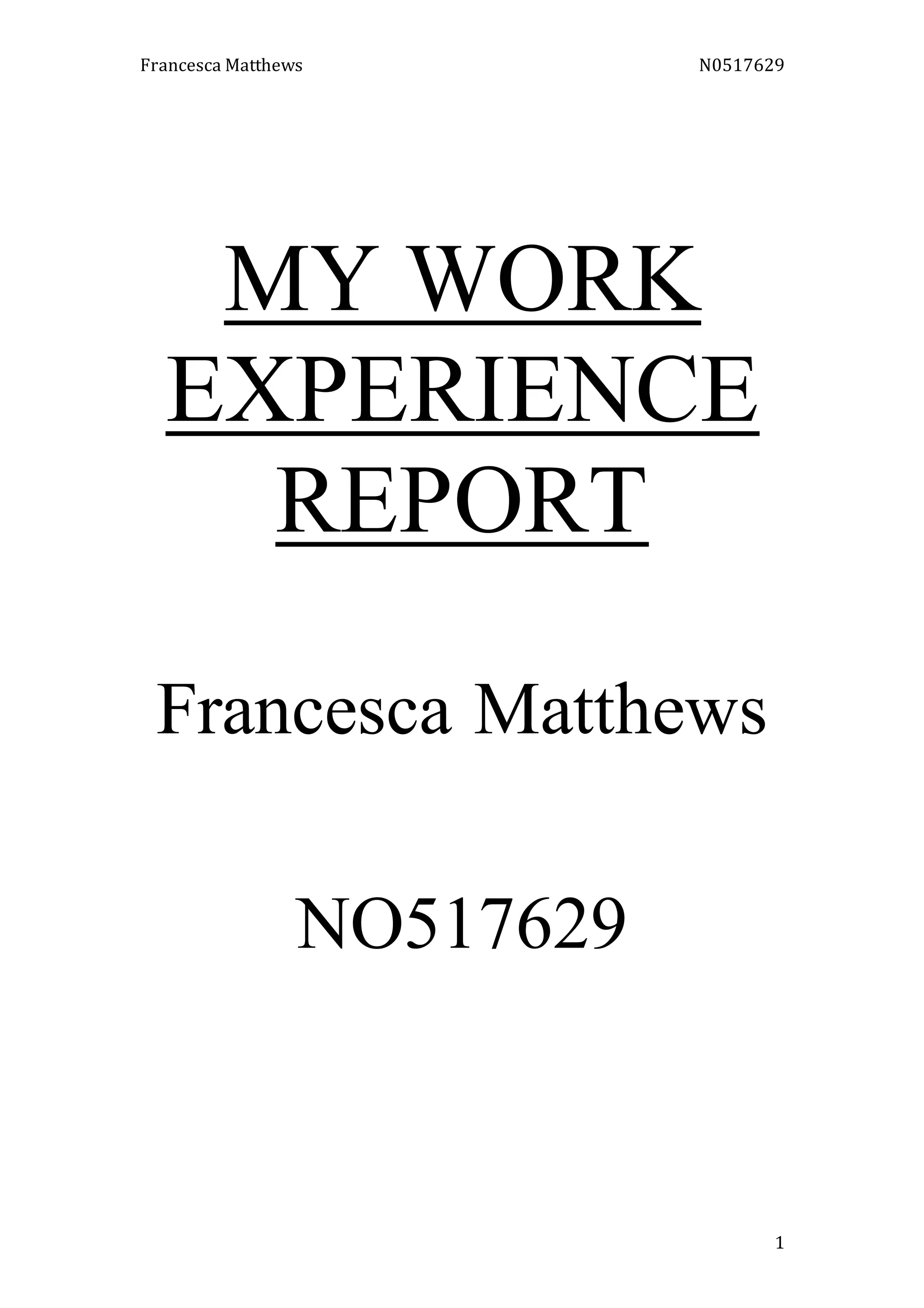 MY WORK EXPERIENCE REPORT | DOCX
