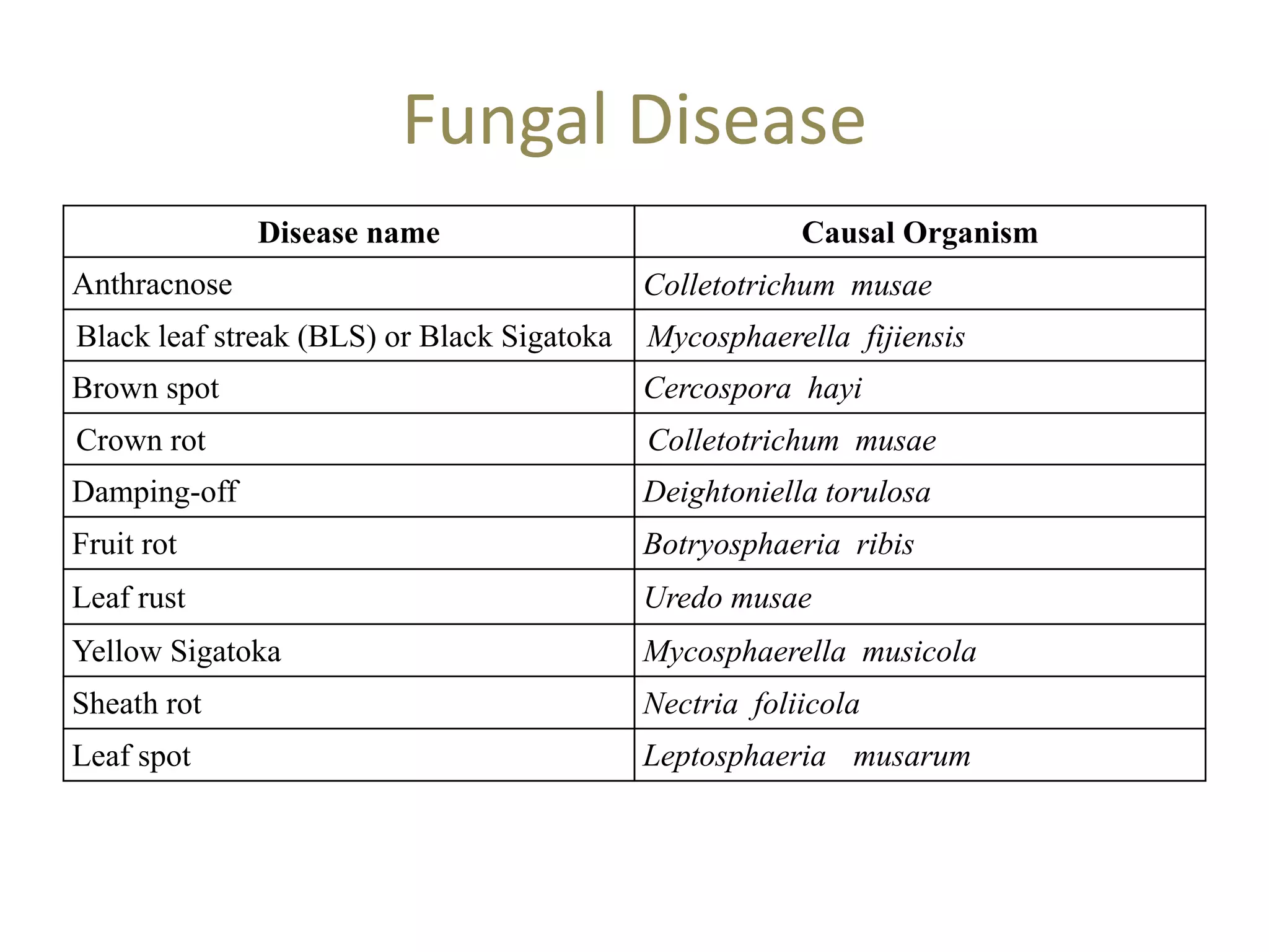Banana diseases | PPTX