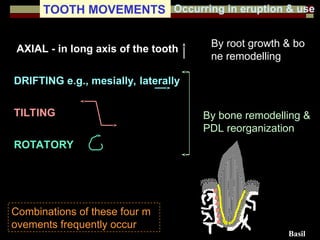 120829890saddaf-Dental-Anatomy-for-MBBS.ppt
