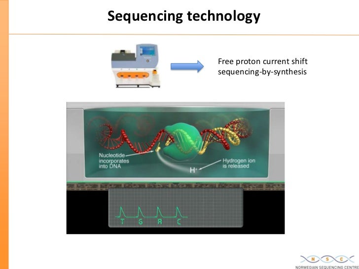 Updated New High Throughput Sequencing Technologies At The Norwegian…