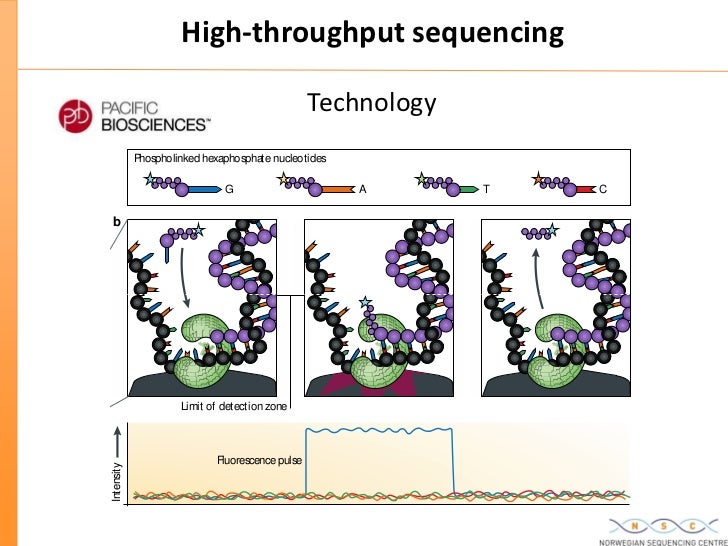 Updated: New High Throughput Sequencing technologies at the Norwegian…