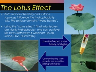 Nanotechnology 20120918 lecture 3 biomimic | PPT