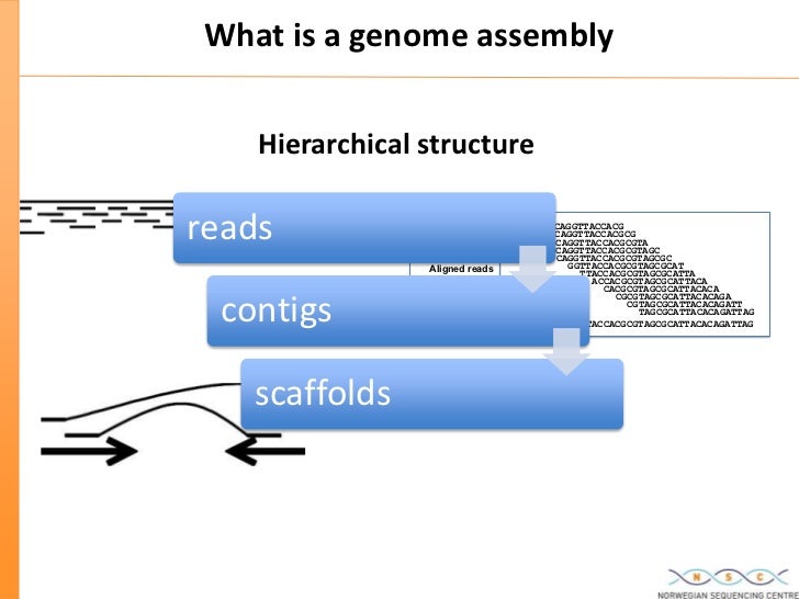 Combining PacBio with short read technology for improved de novo geno…