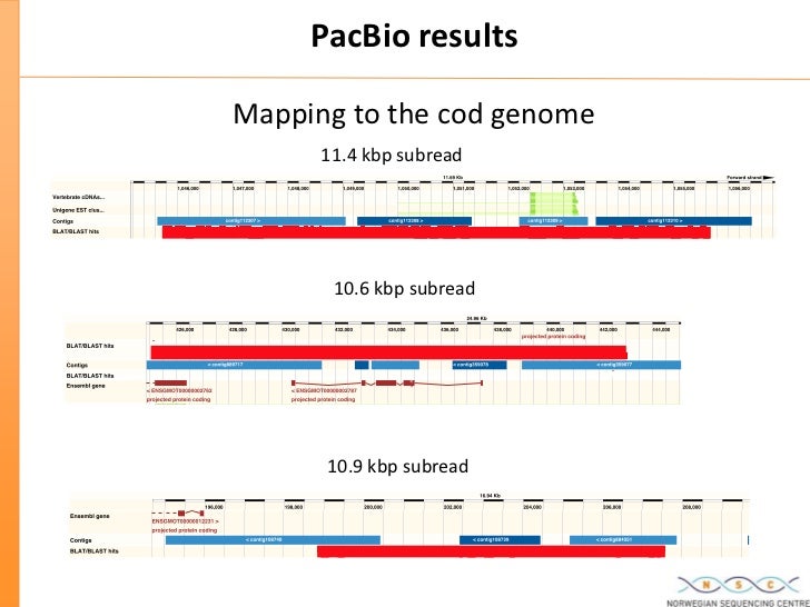 Combining PacBio with short read technology for improved de novo geno…